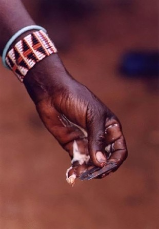 Stephanie Welsh - The Pulitzer Prizes